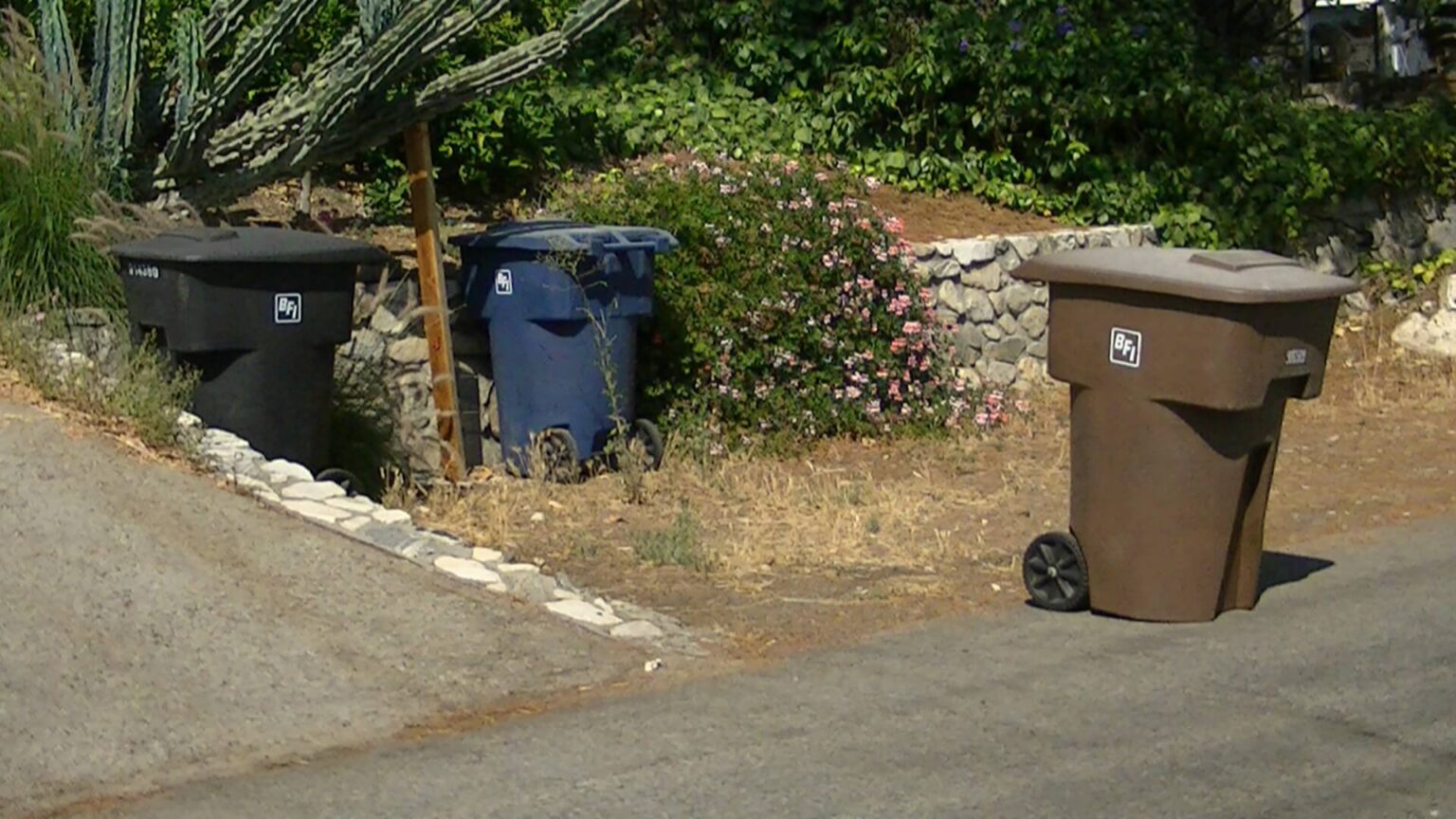 5 Best Outdoor Garbage Cans With Locking Lids And Wheels