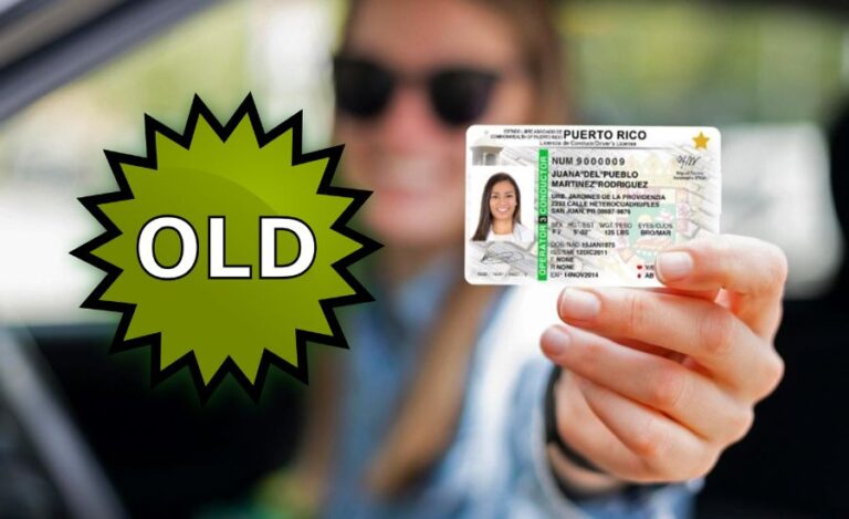 What To Do With Old Driver's License: Top 5 Alternatives